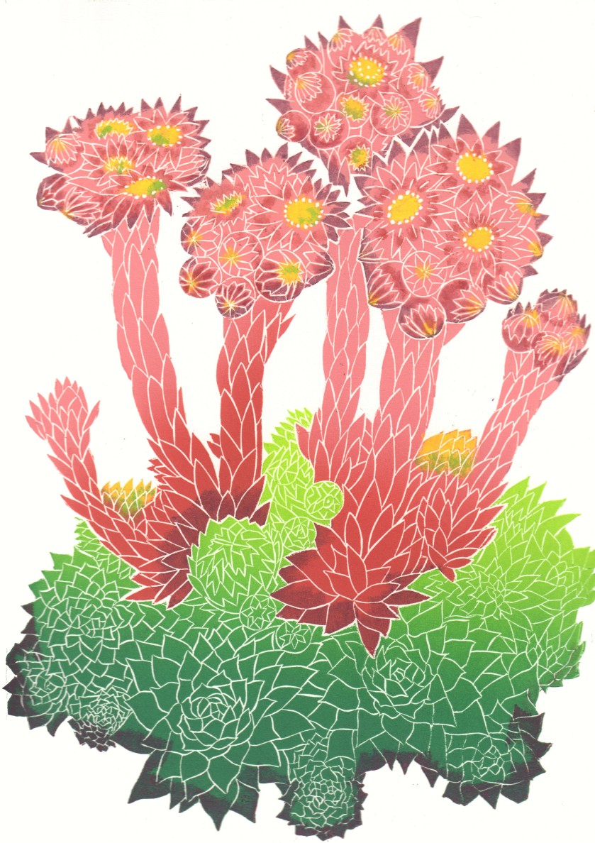 Judith Stroud – Featured Artist – Environmental Elements – Swansea ...