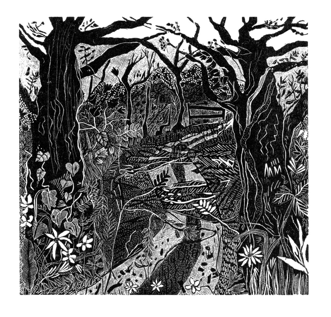 Sally Hands – Featured Artist – Swansea Printmakers